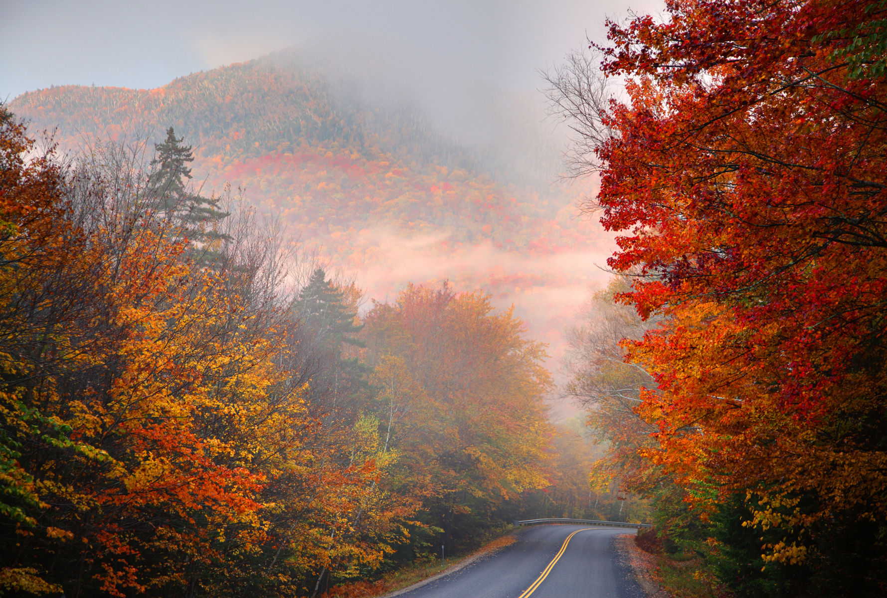 Autumn : Boston Photographer | Boston Photos | Urban Photography ...