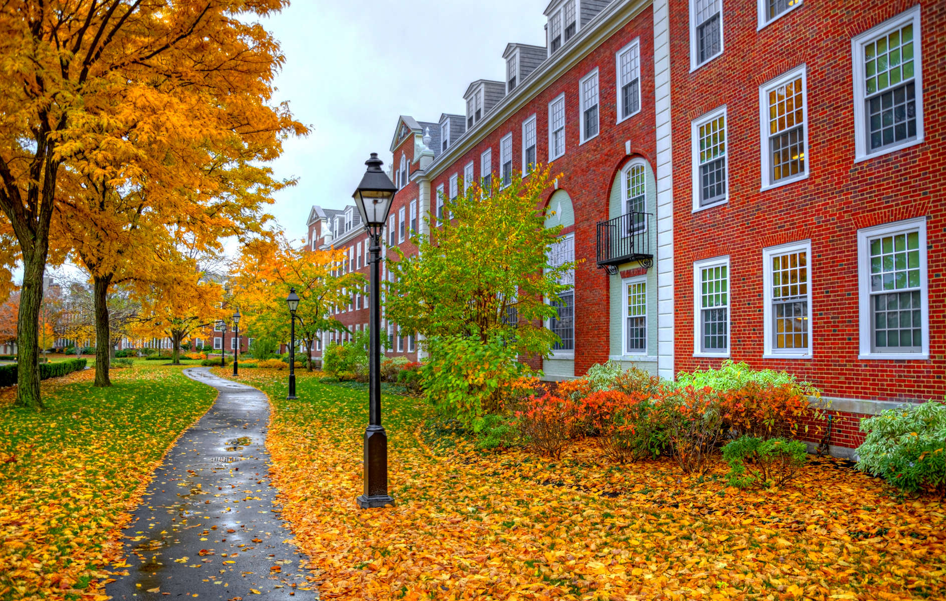 Autumn : Boston Photographer | Boston Photos | Urban Photography ...