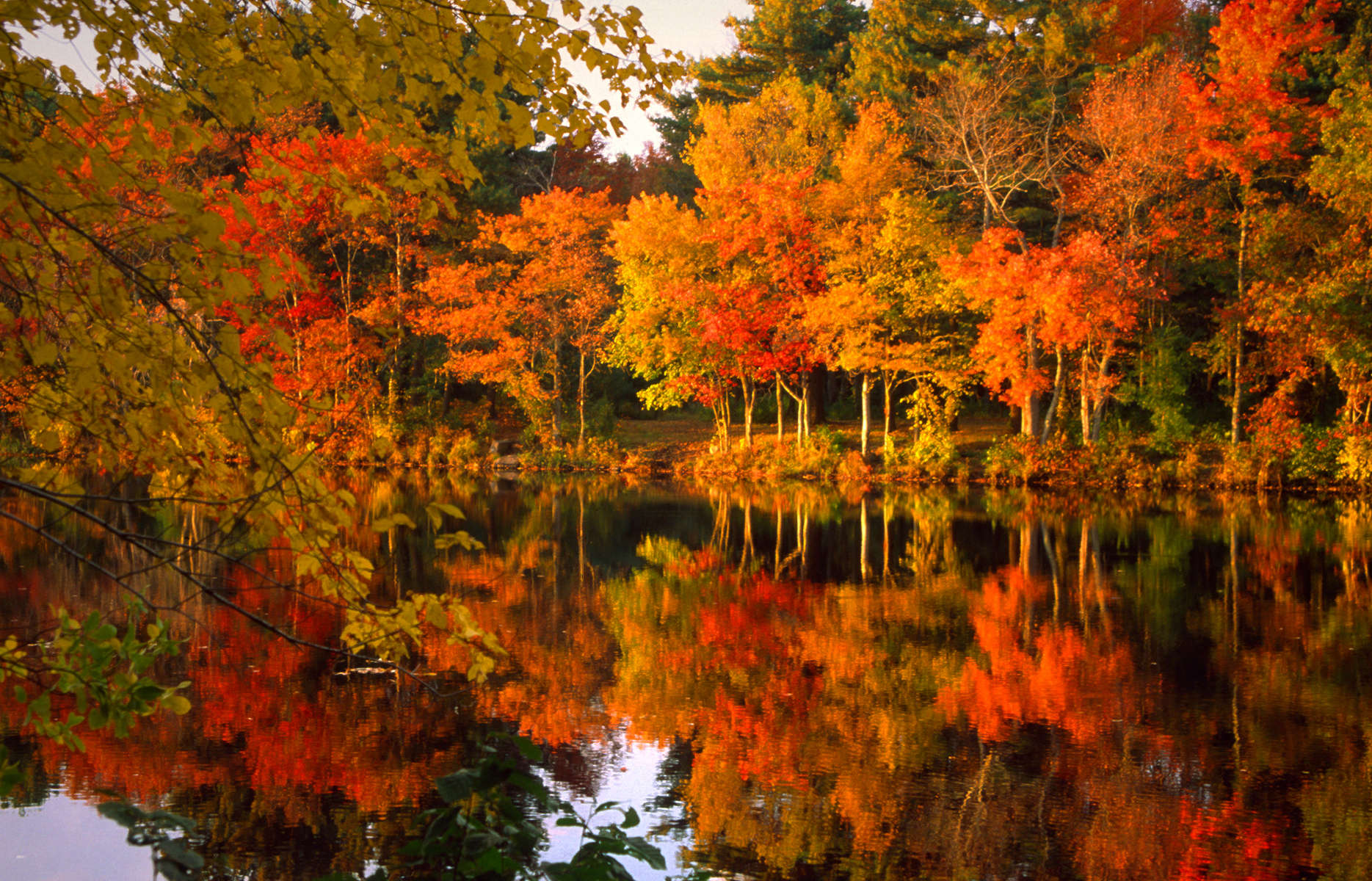 Autumn : Boston Photographer | Boston Photos | Urban Photography ...