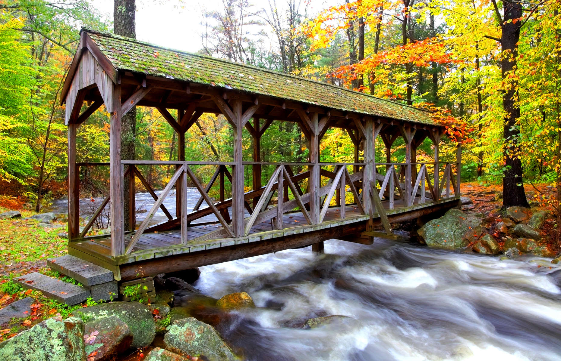 Autumn : Boston Photographer | Boston Photos | Urban Photography ...