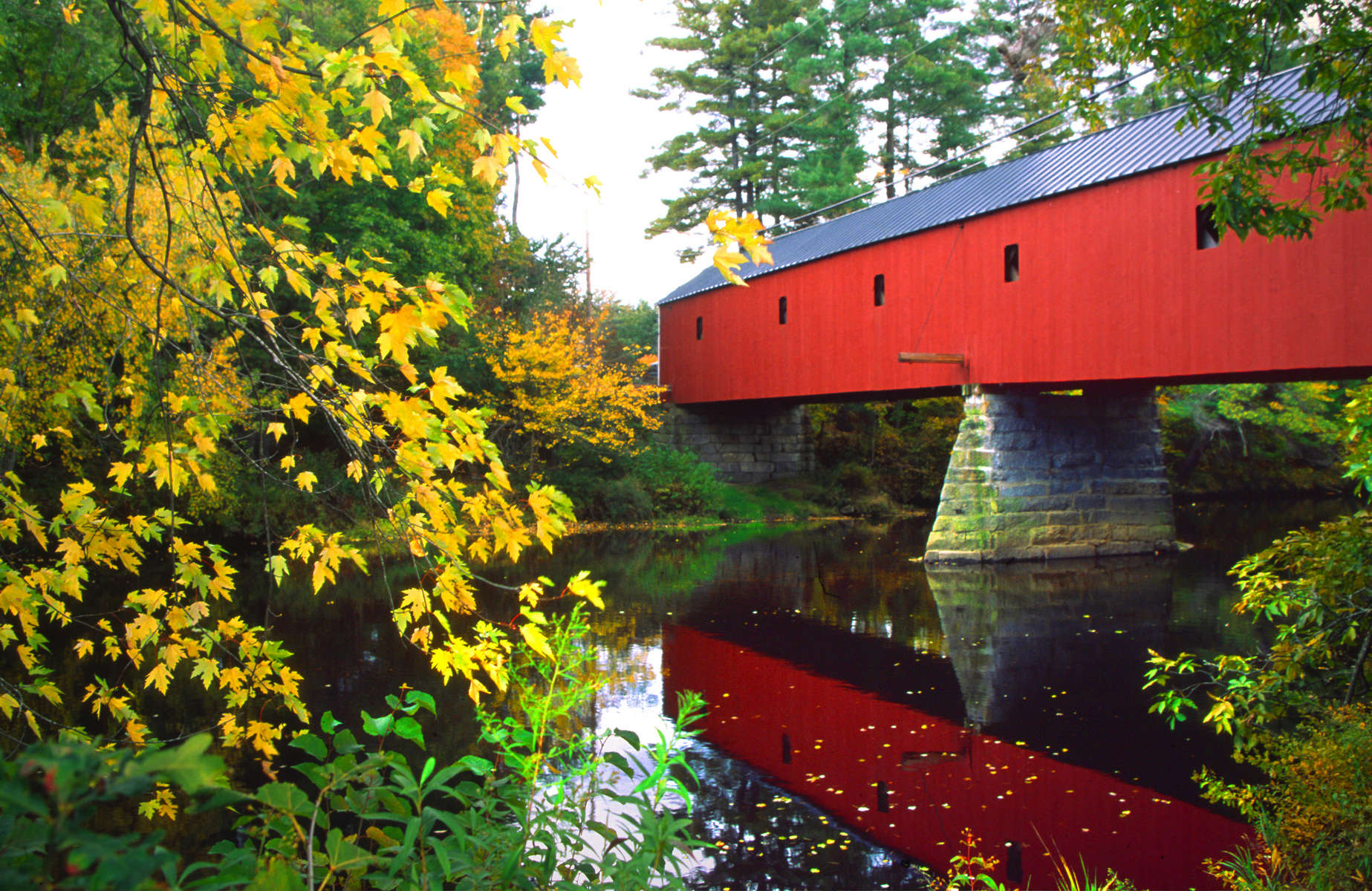 Autumn : Boston Photographer | Boston Photos | Urban Photography ...